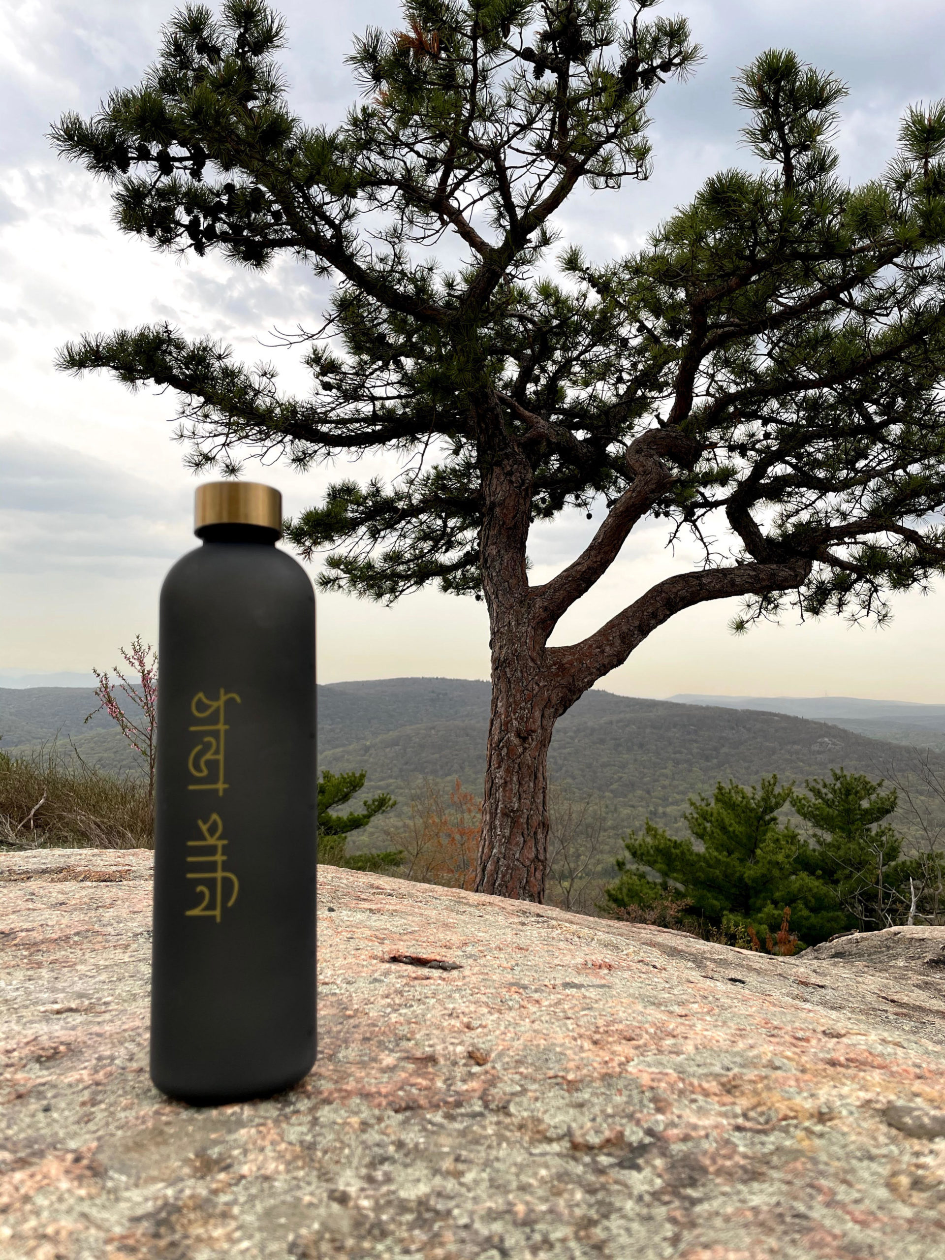 The Tandaa Movement is More than Just a Bottle – BoNY